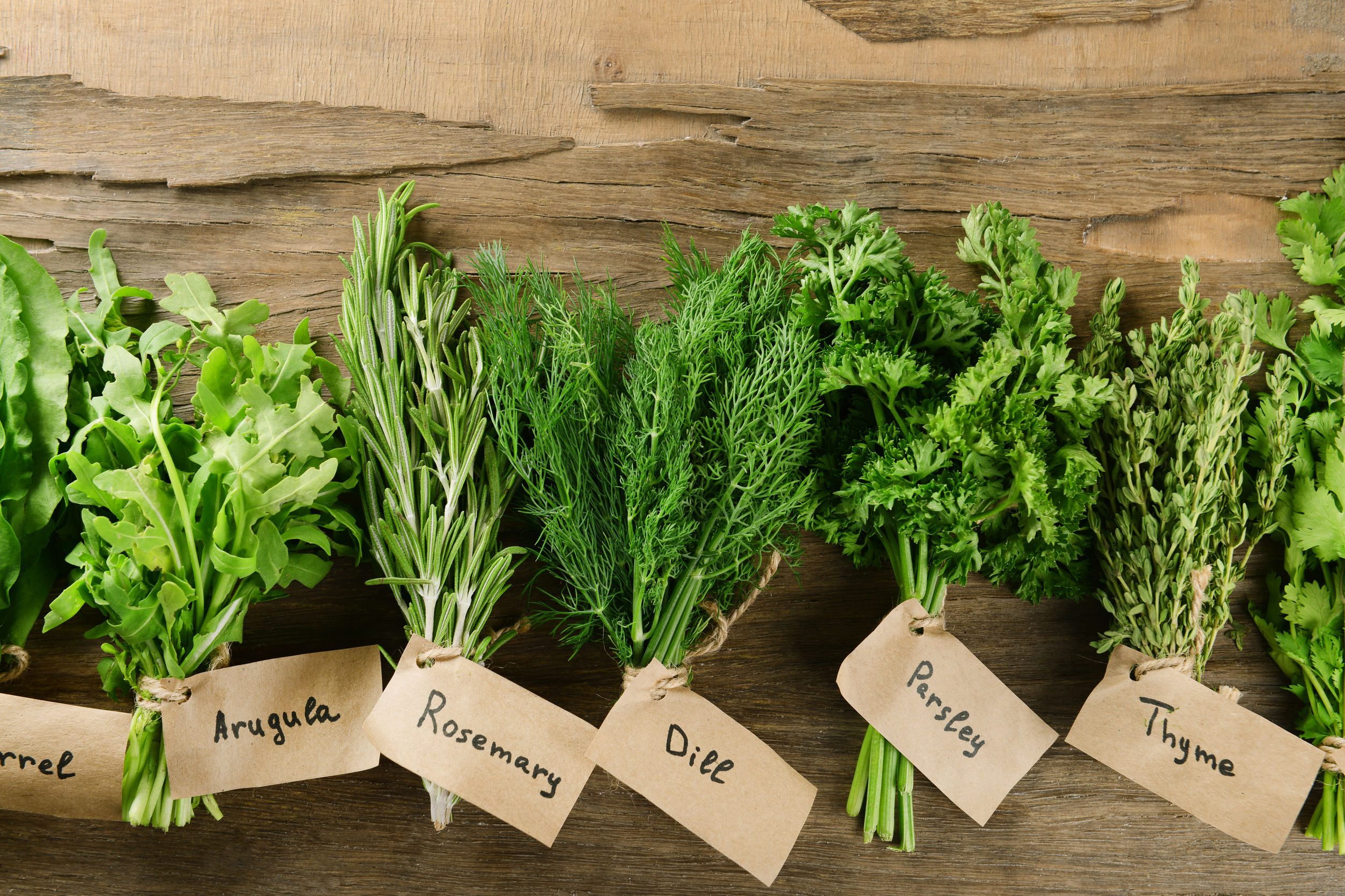 Malaysian Herbs Show Huge Potential For Commercialization – Uncle Kentang